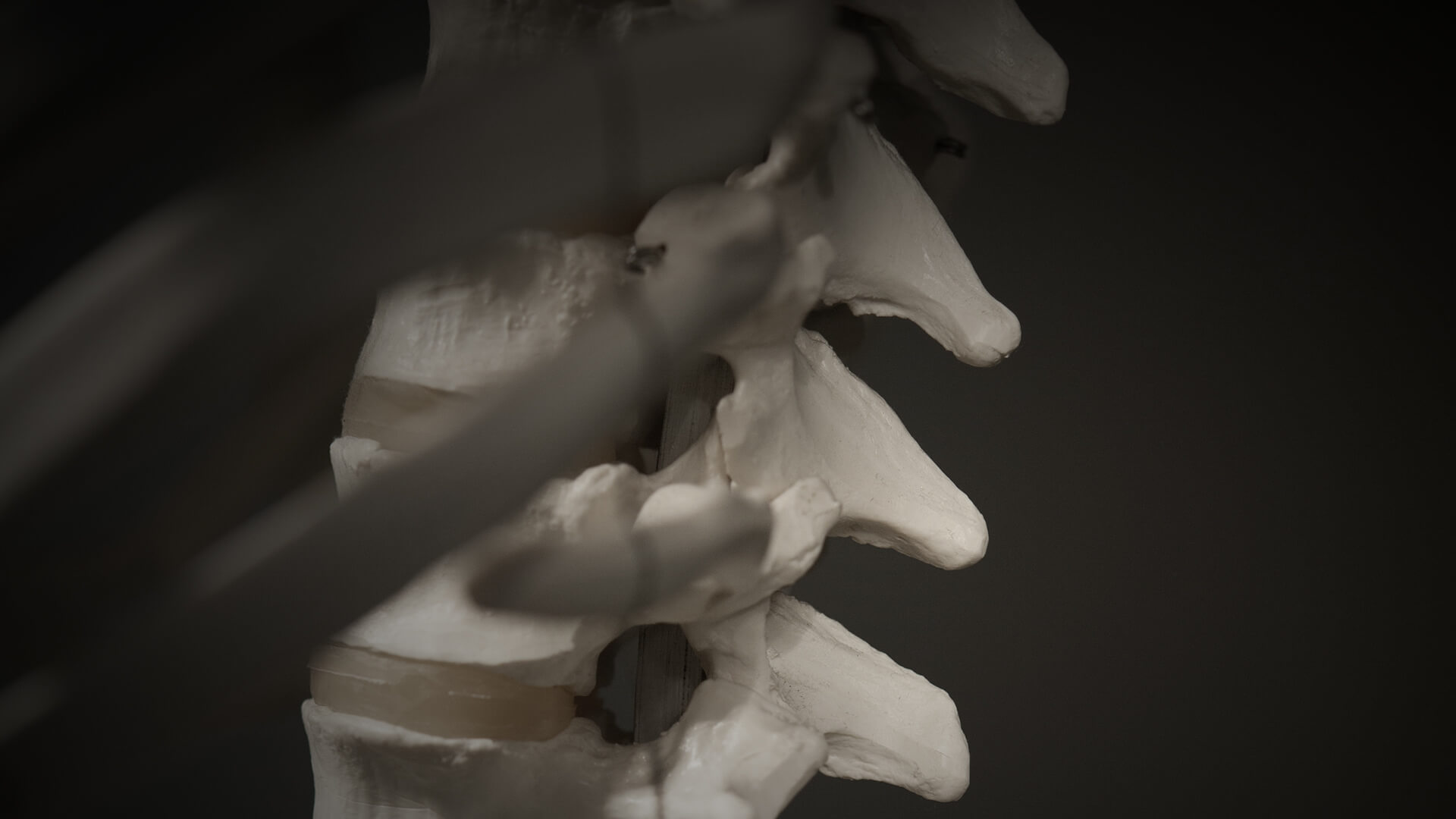 Orthopädie & Unfallchirurgie Winterhude | Dr. Rosenau & Dr. Schmidt